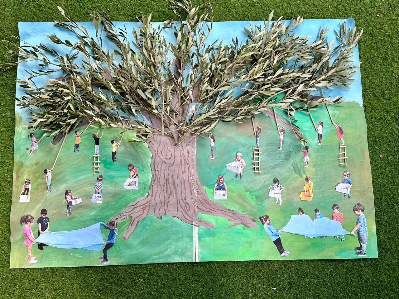 "All about olive trees" Project @ Des Kindergarten • Des